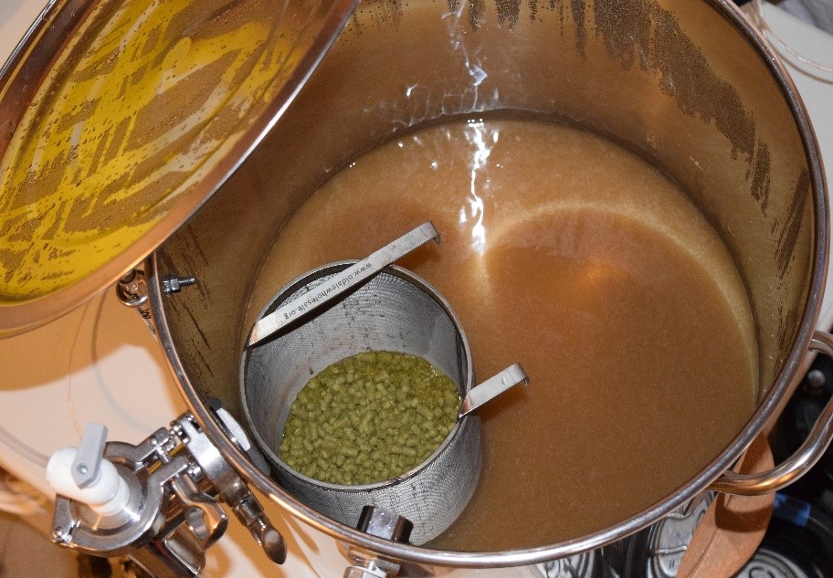Limitations: Beer 1 (Hoppy Wheat) | Brew U