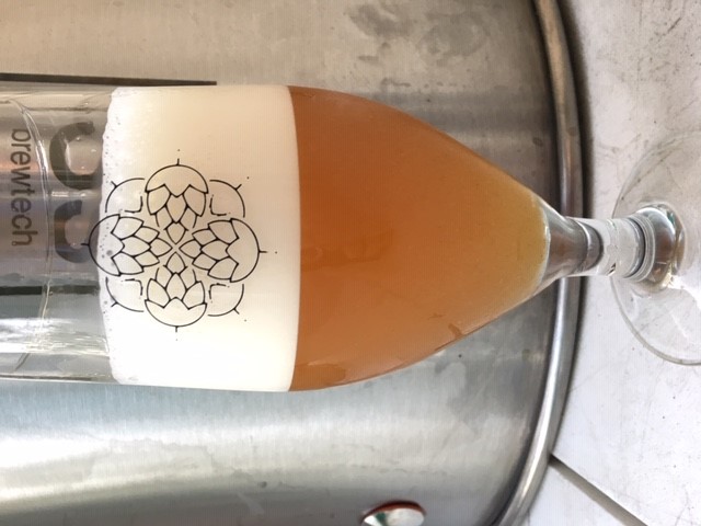 Limitations: Beer 6 (California Common) | Brew U